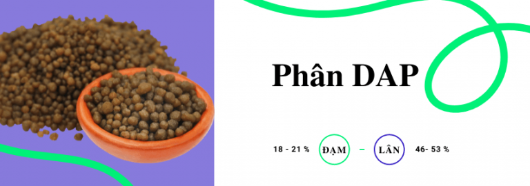 Phân DAP - Hiểu Đúng Và Sử Dụng Hiệu Quả - Vật Tư Nông Nghiệp Minh Dũng ...