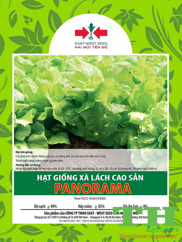 Xà Lách - Vật Tư Nông Nghiệp Minh Dũng - Phân Bón Thuốc BVTV Hiệu Quả