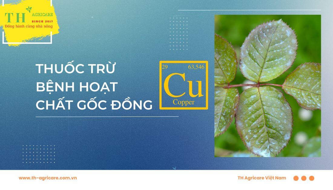 Bà Con Cần Biết Trước Khi Sử Dụng Thuốc Trừ Bệnh Gốc Đồng - Vật Tư Nông ...